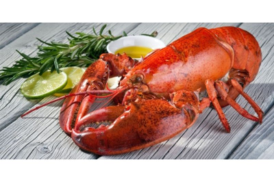 Feestfolder Archieven - Pagina 2 van 3 - Viswinkel Quisquater