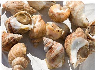 Schaal en schelpdieren Archieven - Viswinkel Quisquater